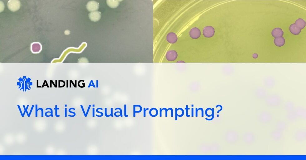 What Is Visual Prompting View Visual Prompts With Examples