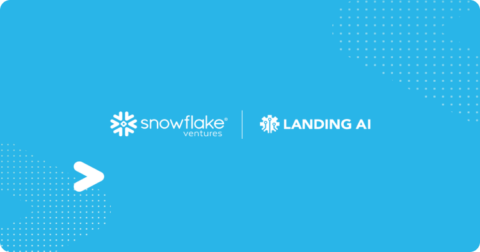 Unlocking Computer Vision Capabilities in Snowflake | LandingAI